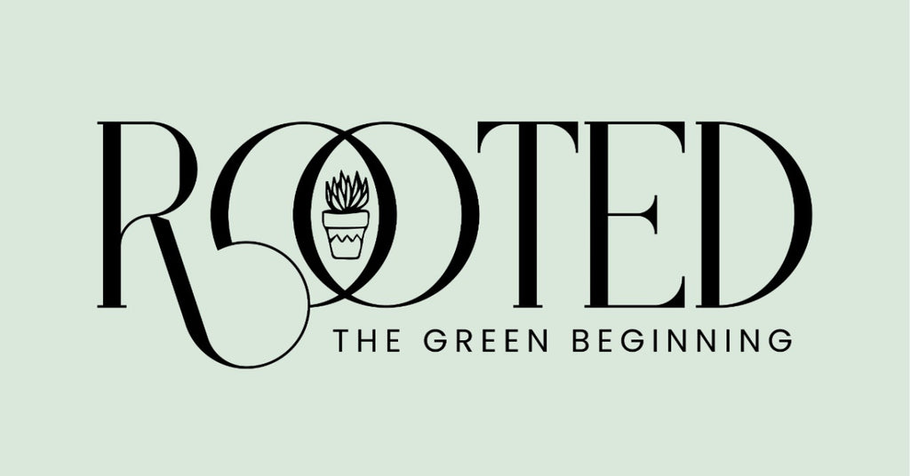 Rooted | Buy Plants, Pots & More Online
